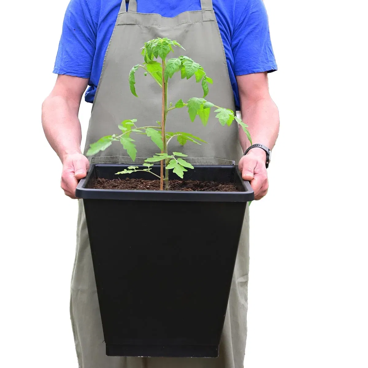 Claus Dalby Selvvandings-/kapillærpotte B: 40 cm H: 40 cm | Claus Dalby